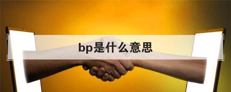 BP是什么意思的缩写图标