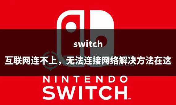 switch接入不了互联网图标