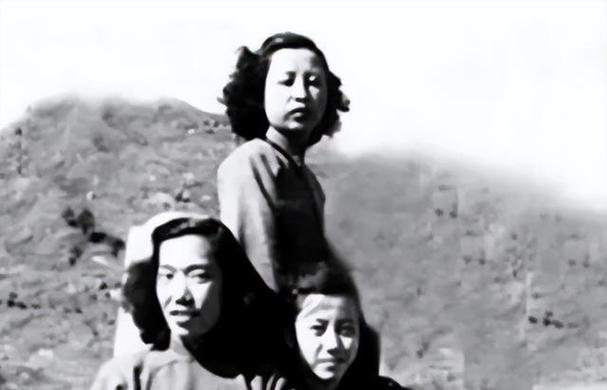 谍战片《叛徒》图标