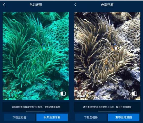 华为手机颜色发灰图标