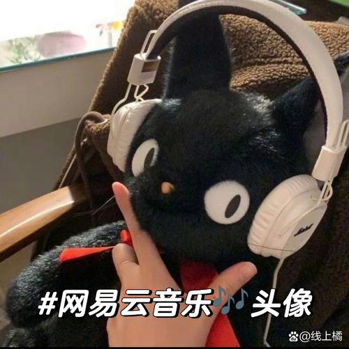 网易云头像个性截图
