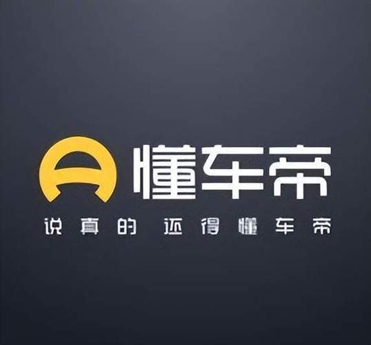 二手车懂车帝官网截图