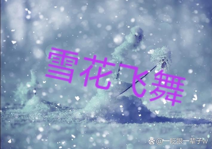 雪花飘动下雪视频素材图标
