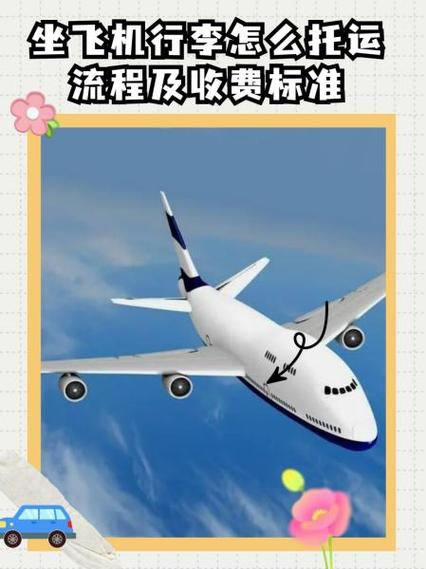 飞机行李托运流程截图