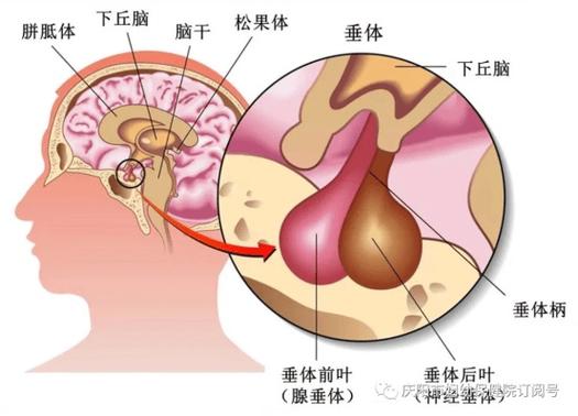 鞍区位置图