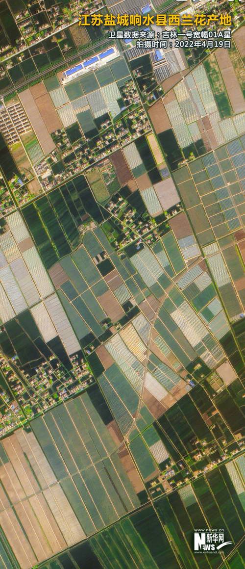 查基本农田卫星地图图标