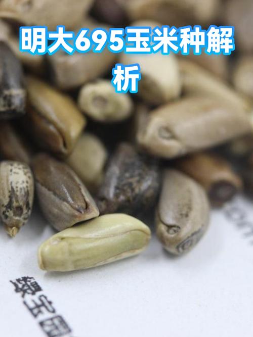 抗性和耐性的区别图标