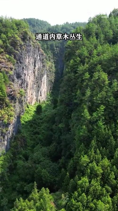 深山获得神秘空间图标