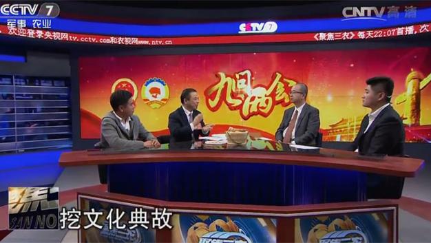 CCTV节目官网图标