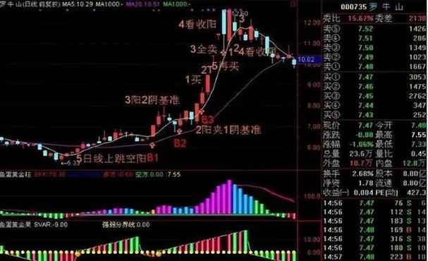 蚂蚁上树 股票图标