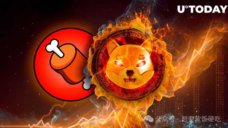 SHIB最新动态图标