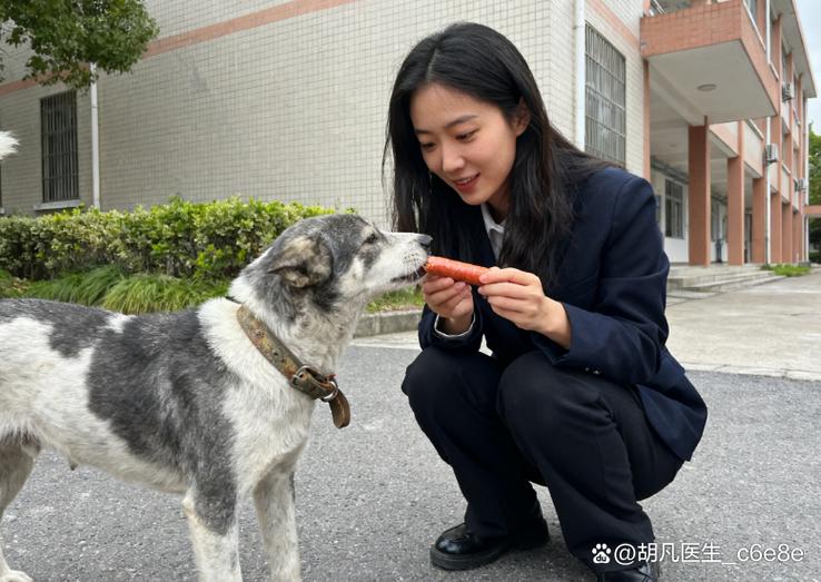 女教师狂犬病发作的视频大全