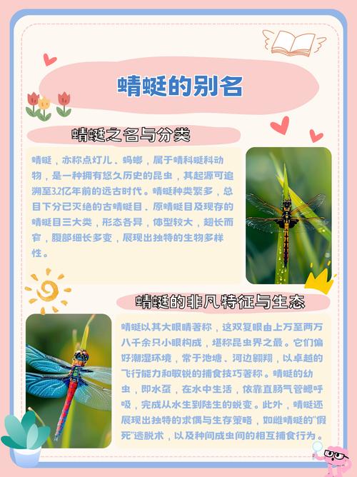 蜻蜓fm下载的文件名还原图标