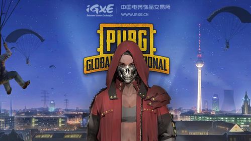 pubg骷髅套多少钱图标