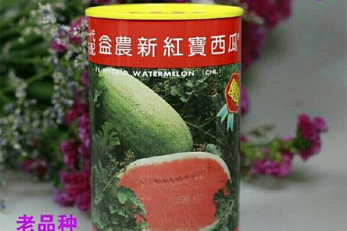 西瓜品牌十大排行榜图标