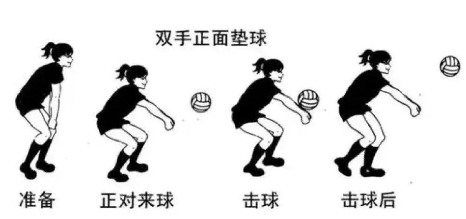 垫球对人体的危害截图