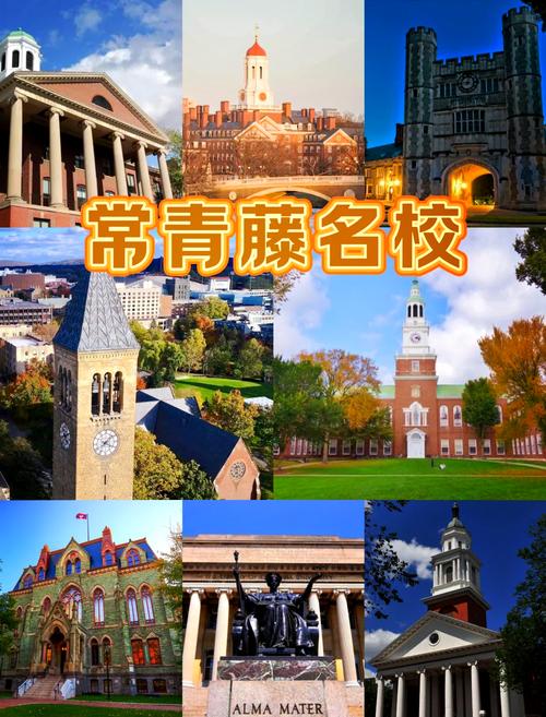 嗜奶症校园by青藤免费阅读