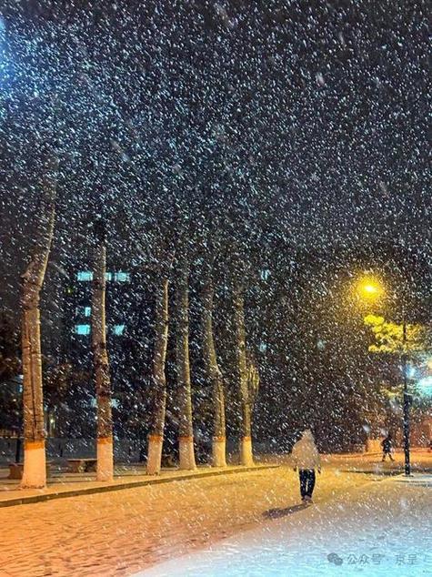 雪花飘网图标