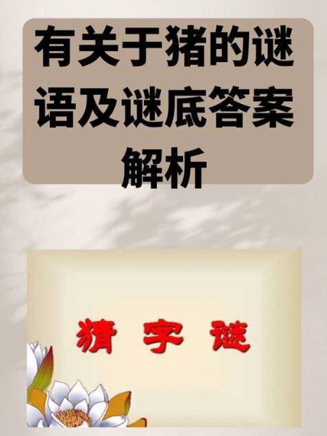 耳朵阅读短文完整答案截图