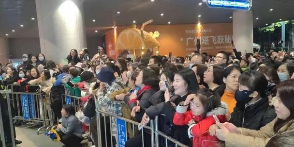 粉丝带火的明星图标