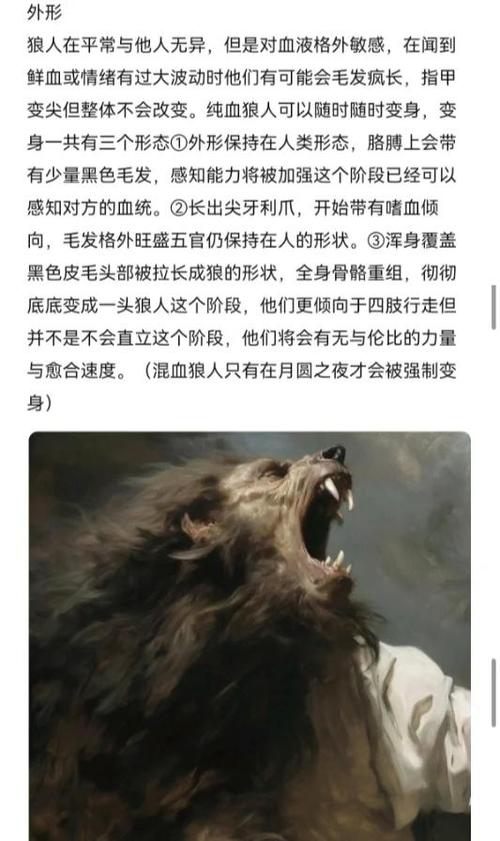 主角重生变成狼人的小说图标