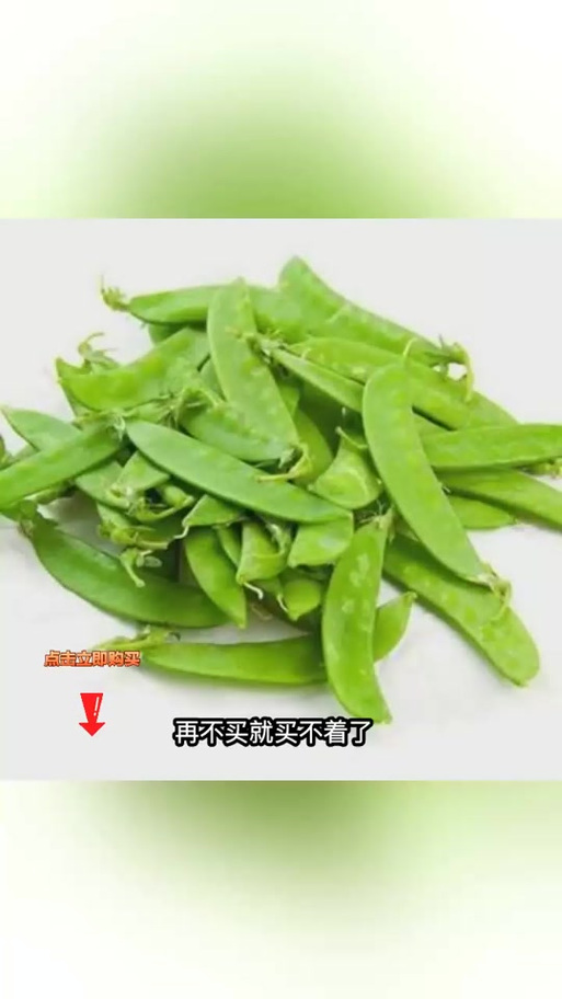 豌豆荚2024图标