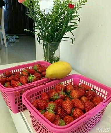 小白农场辅助软件图标