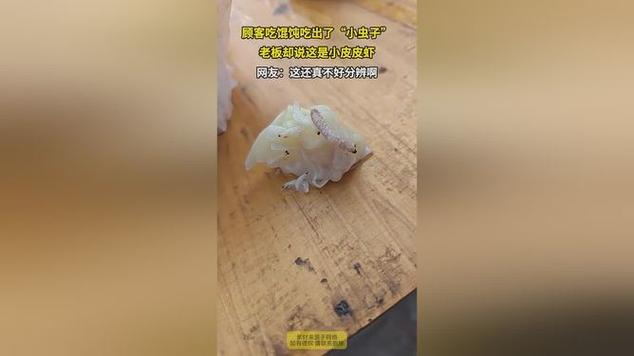 混沌昆虫图标