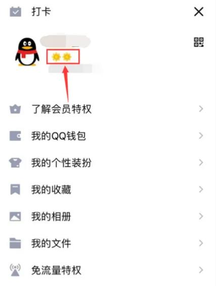 qq连续登录天数排行图标