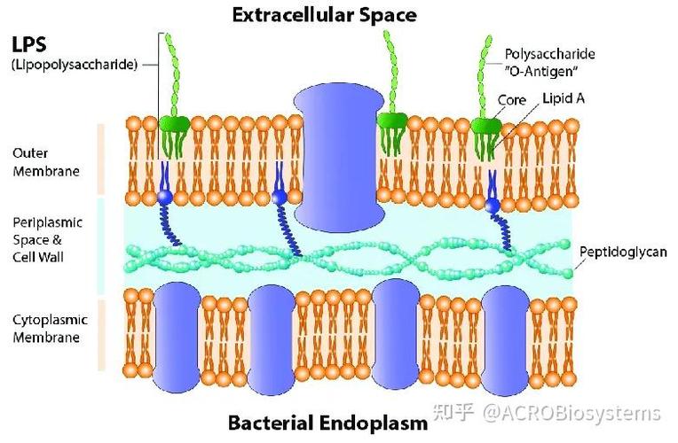 灵敏度低和特异度高图标