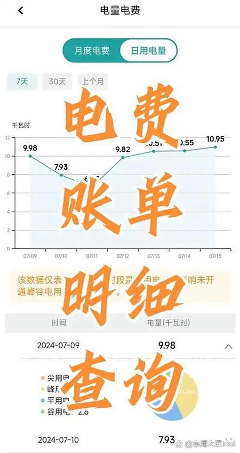 电费扣费明细怎么查询图标