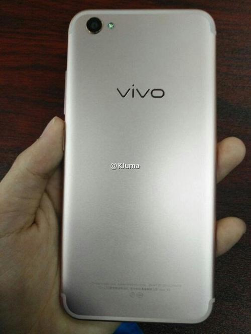 验证vivo手机是否翻新机图标
