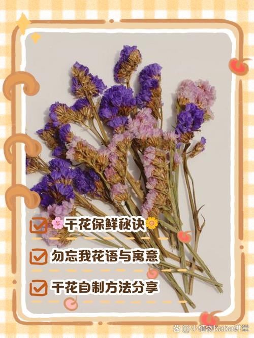 不小心用了拿去花怎么办图标