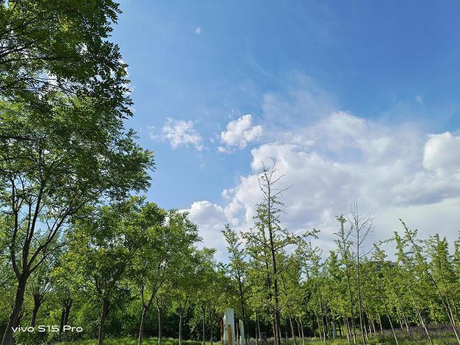 红米摄像头模糊不清图标