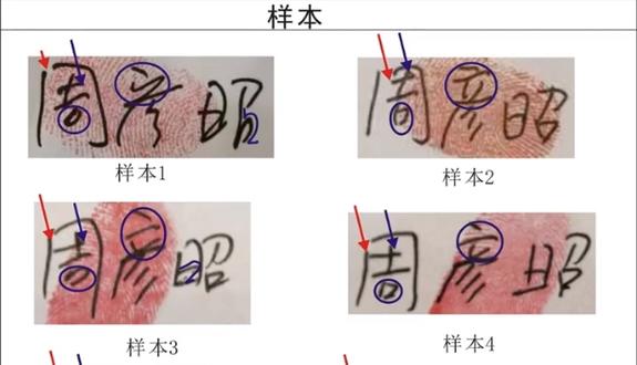 南京笔迹鉴定中心图标