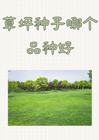 三款好用的种子推荐