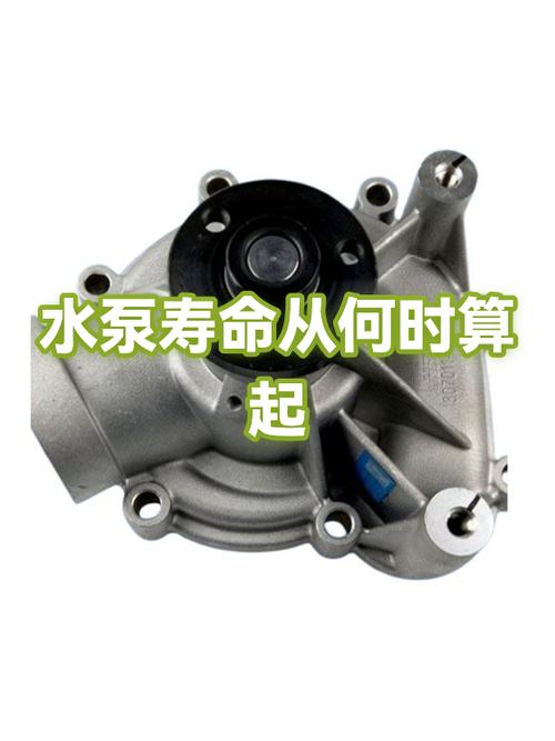 永磁水泵一般寿命几年图标