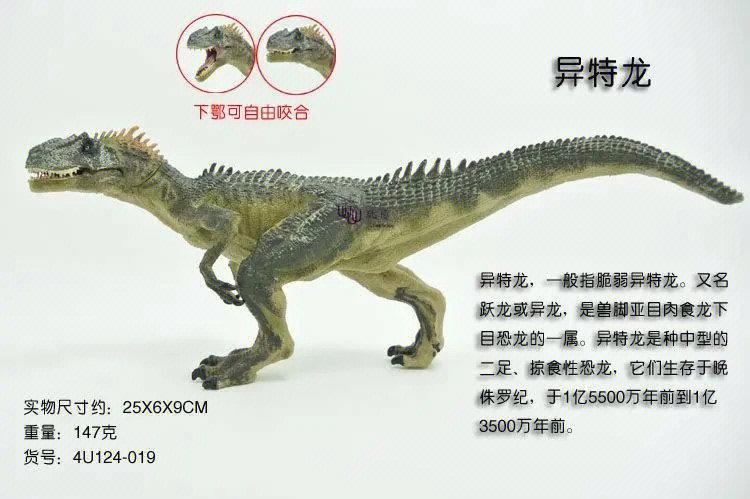 恐龙的历史和简介图标