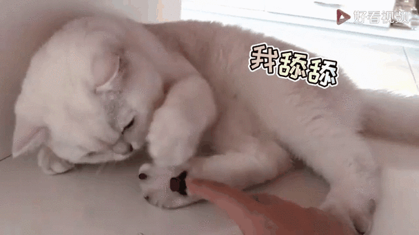 猫怕挠脚心吗图标