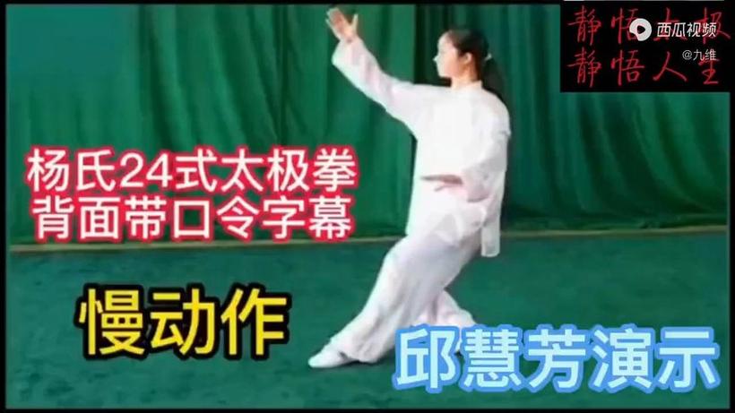 24式杨式太极拳图标