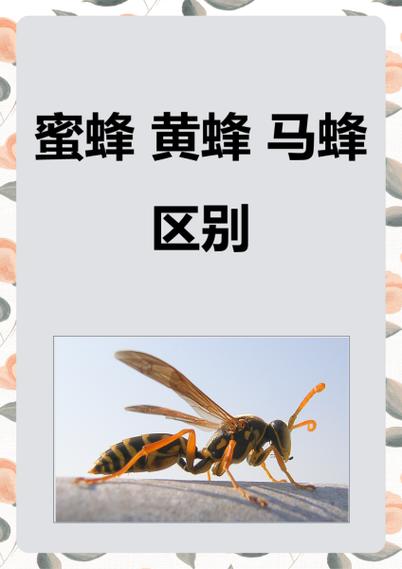 黄蜂马蜂蜂蜜蜂的外形特征图标