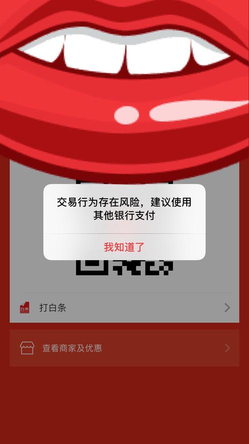 开启京东支付有风险吗图标