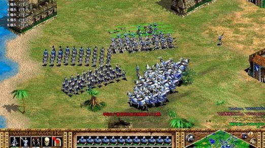 帝国2征服者秘籍所有加10万截图