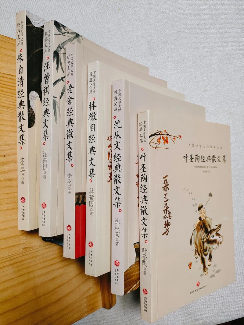 轻之文库图标
