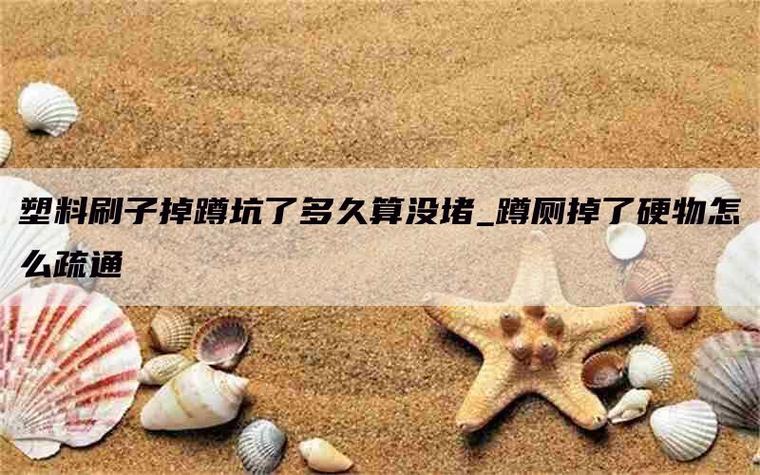 刷子掉进蹲厕里会堵吗图标