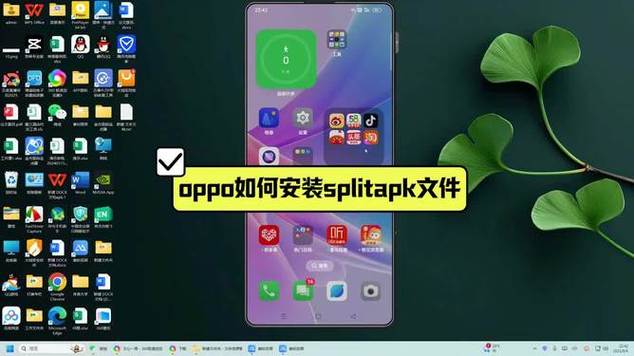 oppo自带视频安装包截图