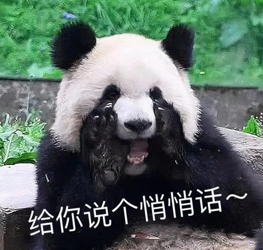 熊猫表情里面的三个人都是谁图标