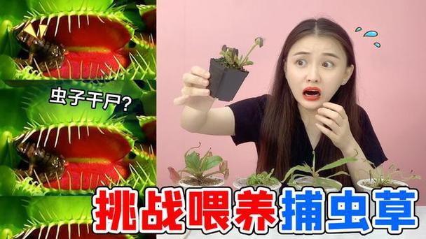 桂圆子细思极恐12点截图
