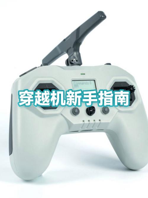 新手应该玩哪个版本图标