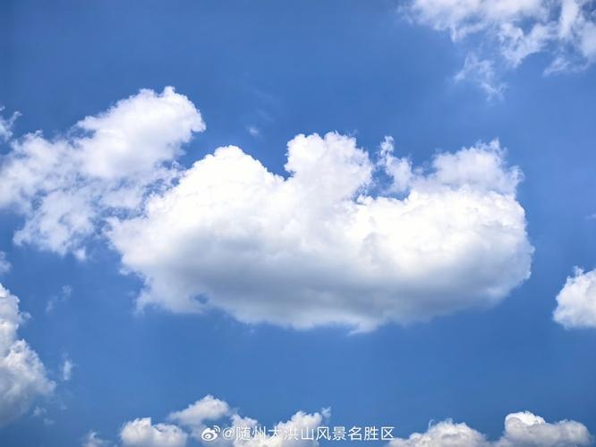 视频会议软件推荐图标